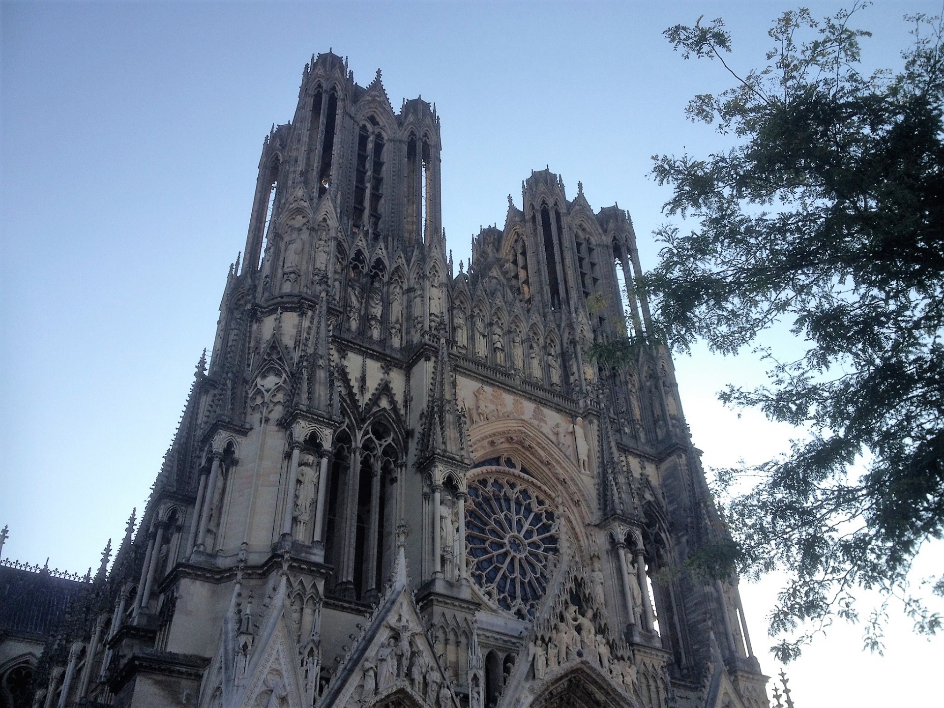 Saint Rémi: Patron du Peuple Franc et de l'Ordre du le Sainte Ampoule ...